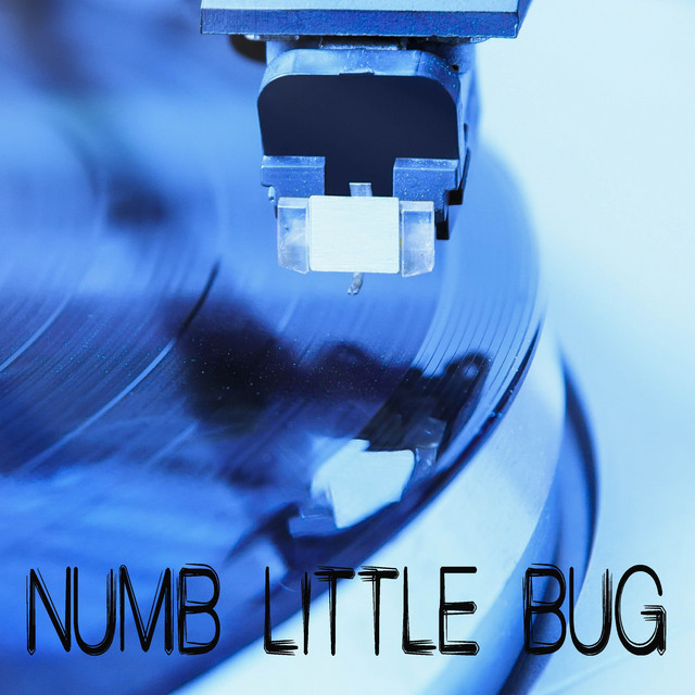 Numb Little Bug (Originally Performed by Em Biehold) [Instrumental ...