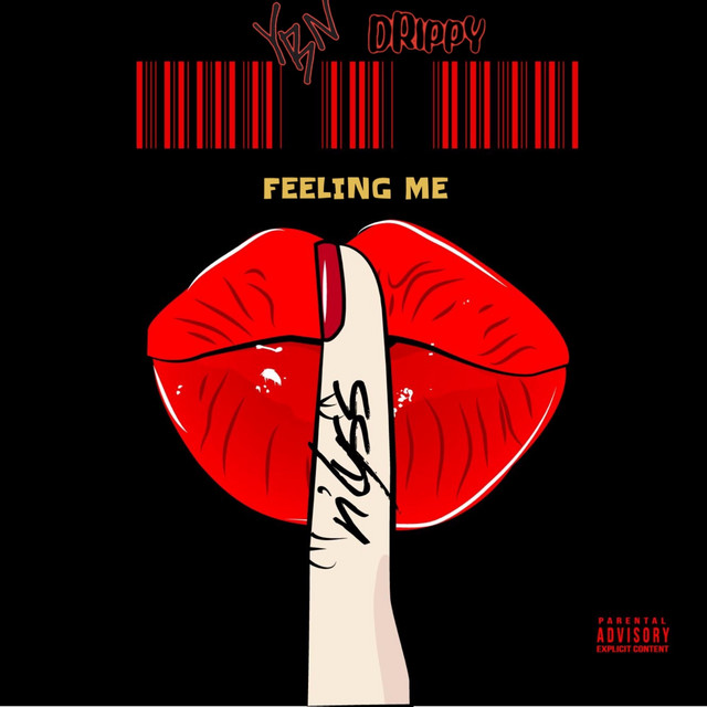 FEELING ME - Single by YBN DRIPPY | Spotify