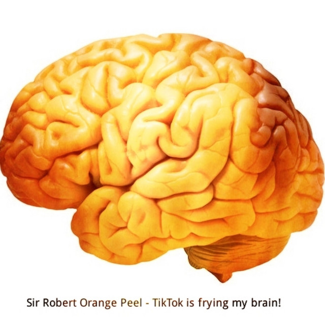 Tiktok is frying my brain! - Single by Sir Robert Orange Peel | Spotify