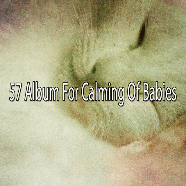 57 Album For Calming Of Babies - Album by The Sleep Specialist | Spotify