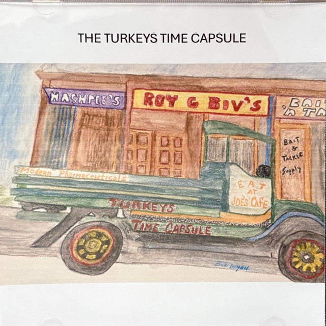Time Capsule - Album by The Turkeys | Spotify