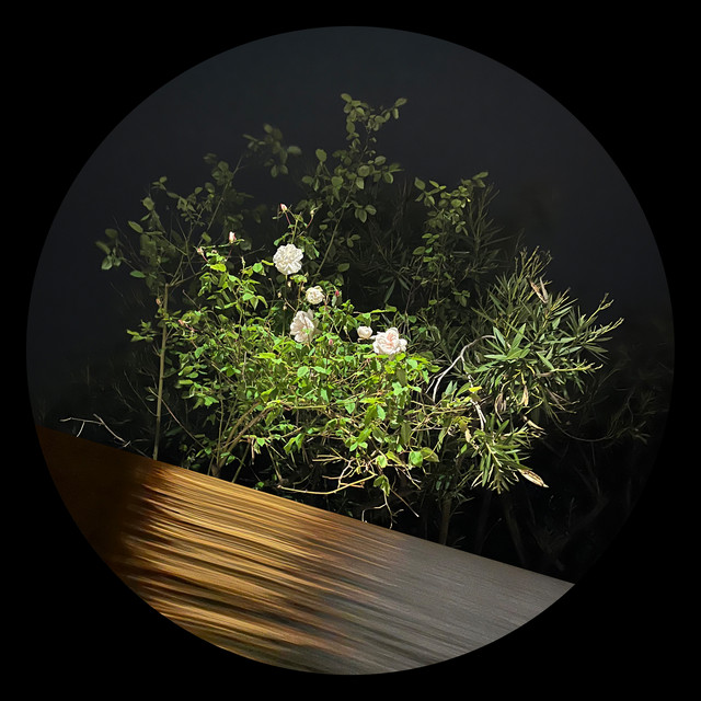 Fine Rise EP - EP by Ben La Desh | Spotify