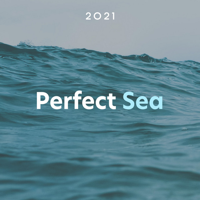 2021 Perfect Sea - Album by Sea Nature Players | Spotify