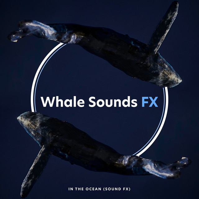 Whale Sounds FX - Album by In The Ocean (Sound FX) | Spotify