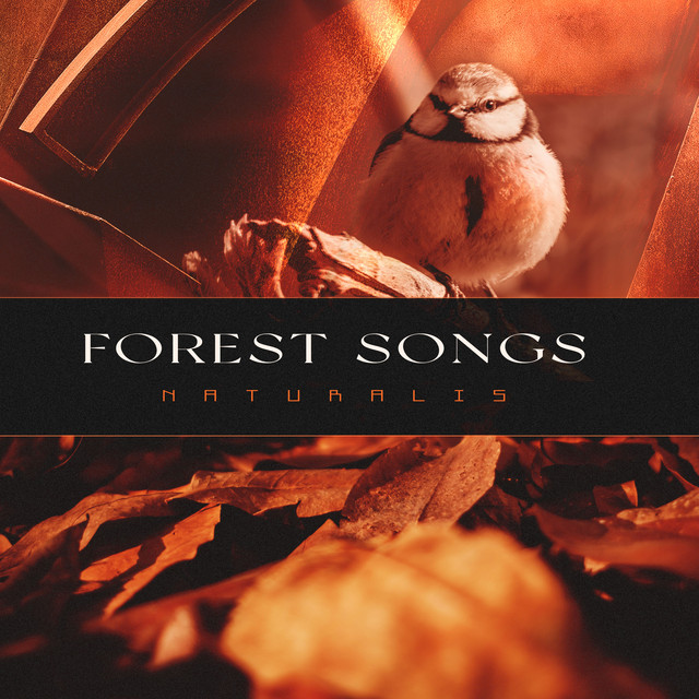 Forest Songs - Album by Naturalis | Spotify