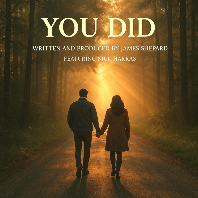 You Did - Single by James Shepard | Spotify