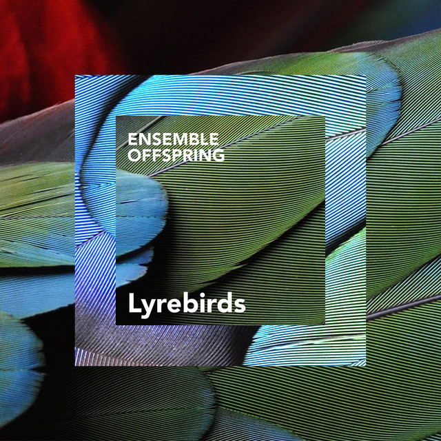Beautiful Birds: I. Lyrebirds - Single by Gerard Brophy | Spotify