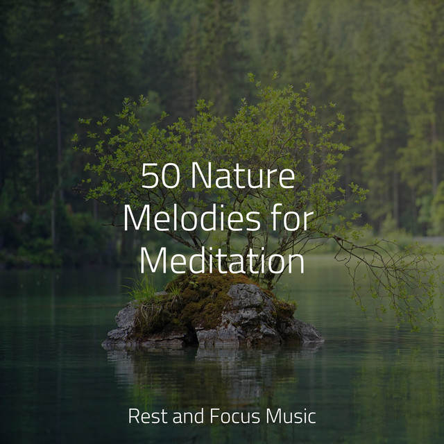 50 Nature Melodies for Meditation - Album by Sleep Waves | Spotify