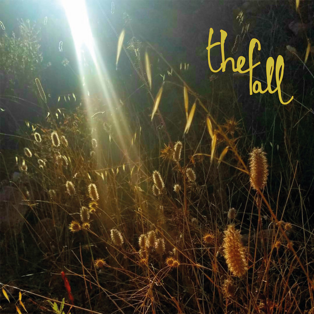 BPM and key for songs by The Fall up | Tempo for The Fall up songs ...