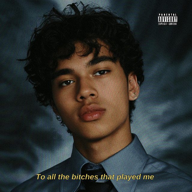 To all the bitches that played me - Album by akudzwe | Spotify