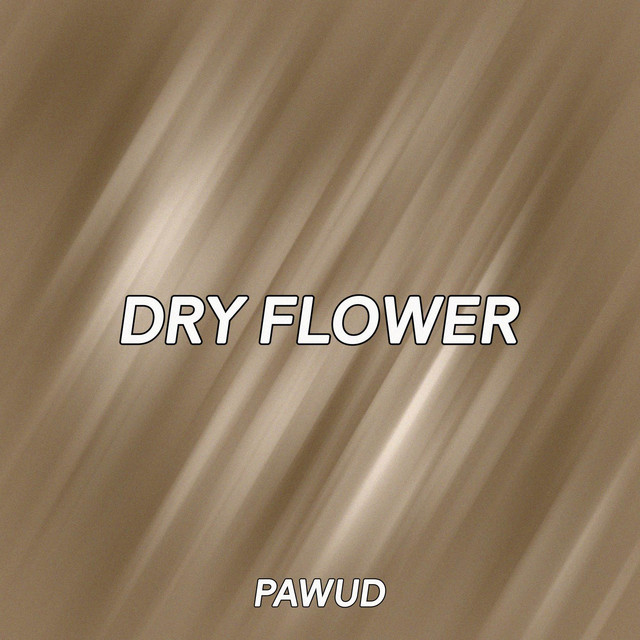 Pawud | Spotify