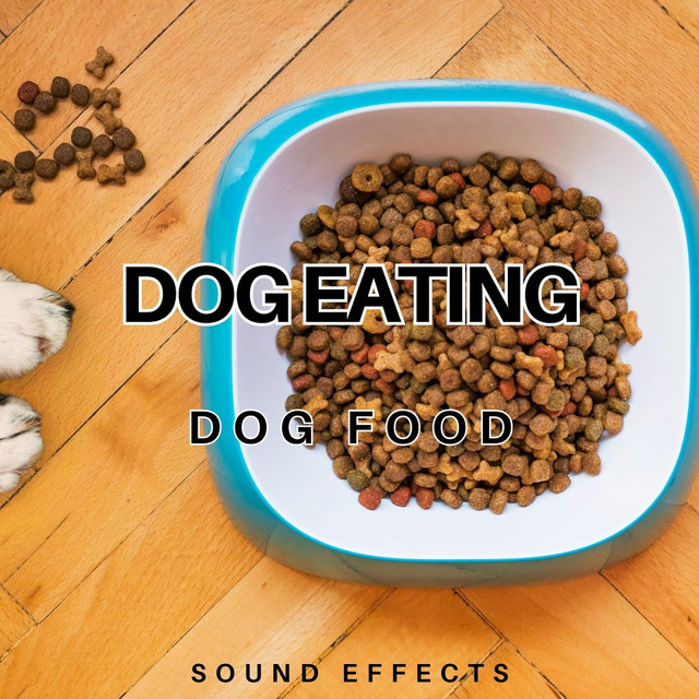 Dog Eating Dog Food Sound Effects - song and lyrics by Sound Effects ...