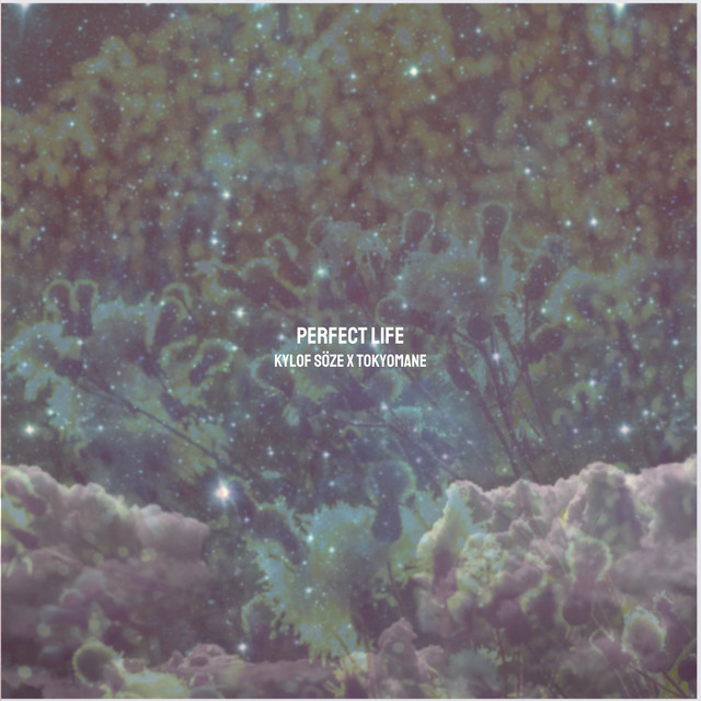 Perfect Life - Single by Tokyomane | Spotify