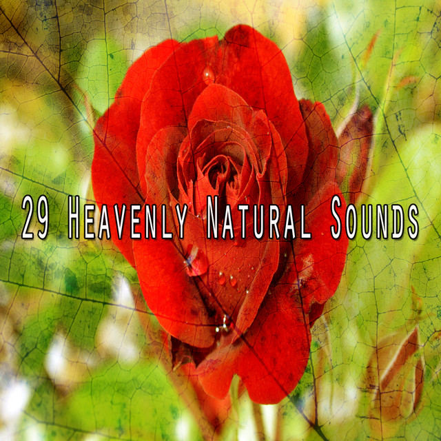 29 Heavenly Natural Sounds - Album by Mother Nature Sound FX | Spotify