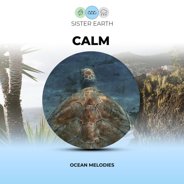 Calm Ocean Melodies - Album by Ocean Sleep Sounds | Spotify