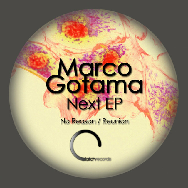 Marco Gotama Spotify