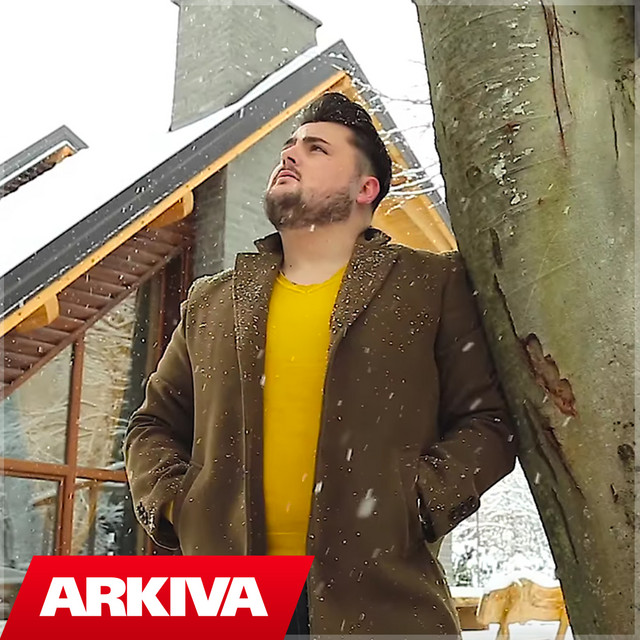 Sinan Hajdini - Songs, Events and Music Stats | Viberate.com
