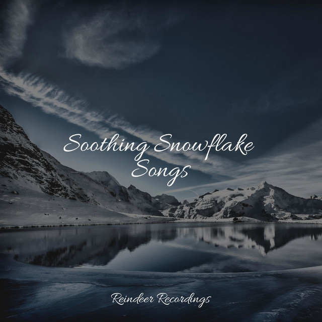 Soothing Snowflake Songs - Album by christmas party Academy | Spotify