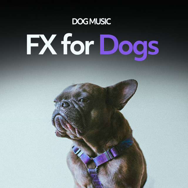 FX for Dogs - Album by Dog Music | Spotify