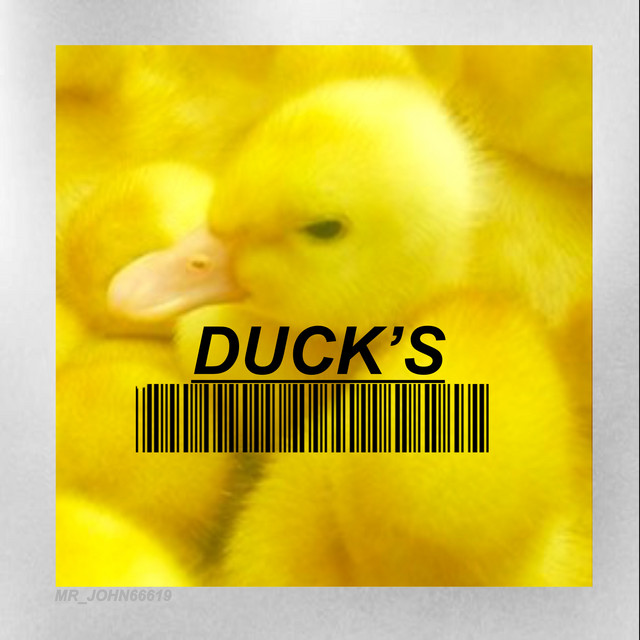 Duck's - Album by Mr_john66619 | Spotify