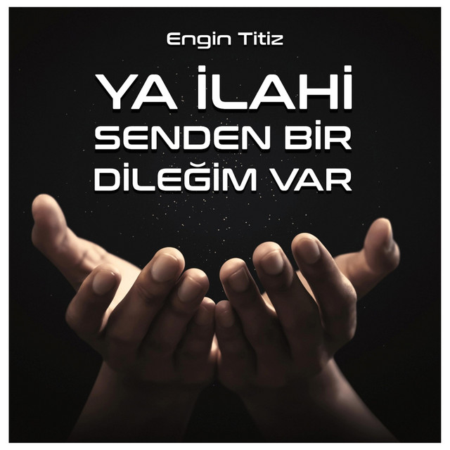 Ya İlahi Senden Bir Dileğim Var - Single by Engin Titiz | Spotify