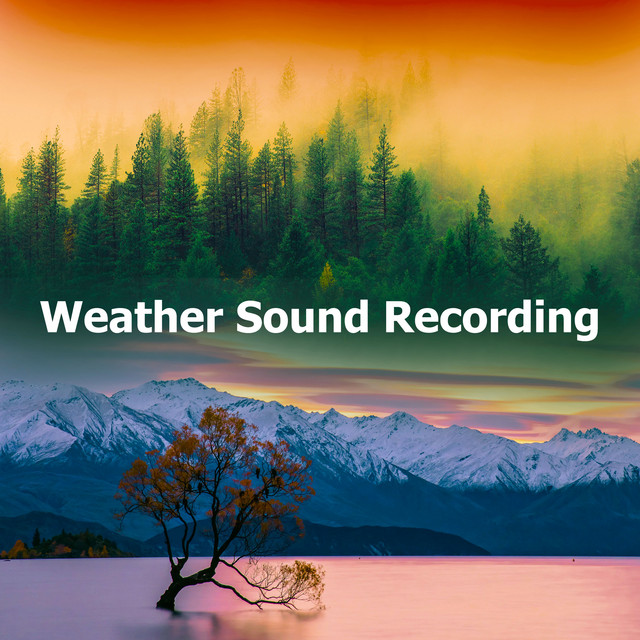 Weather Sound Recording - Album by Outdoor Field Recorders | Spotify