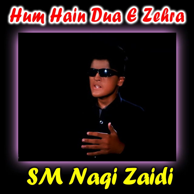 S. M. Naqi Zaidi | Spotify