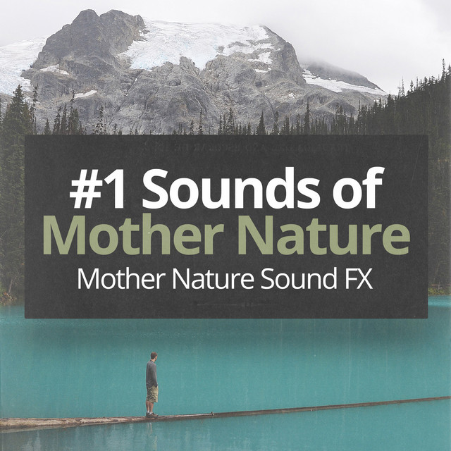 #1 Sounds of Mother Nature – Album de Mother Nature Sound FX | Spotify