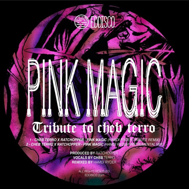Tribute To Cheb Terro / Pink Magic - Single by Cheb terro | Spotify