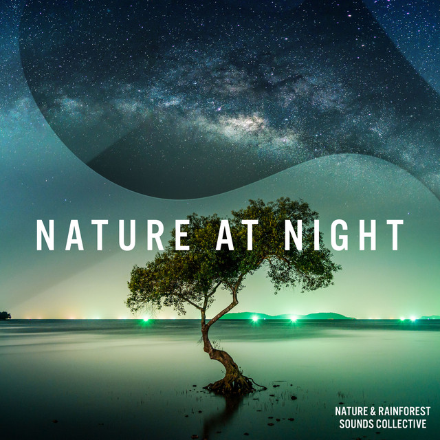 Nature at Night - Album by Nature & Rainforest Sounds Collective | Spotify