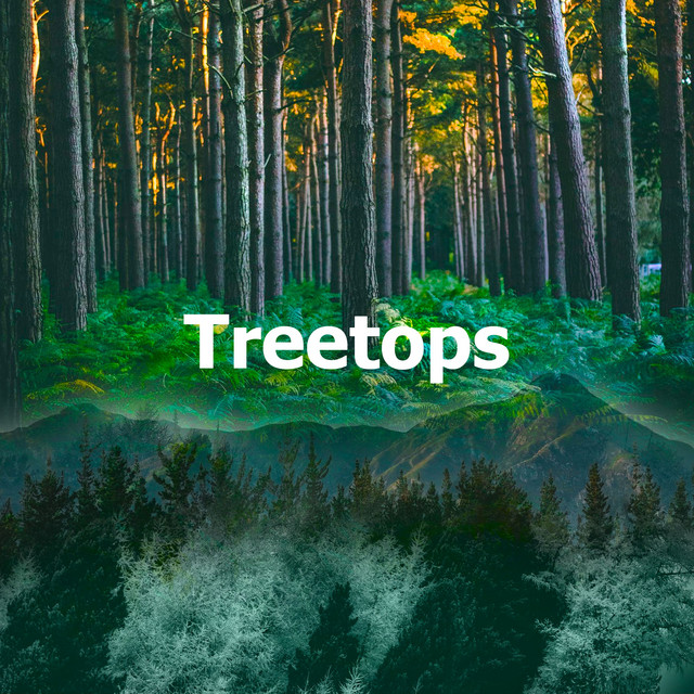 Treetops - Album by Rainforest | Spotify