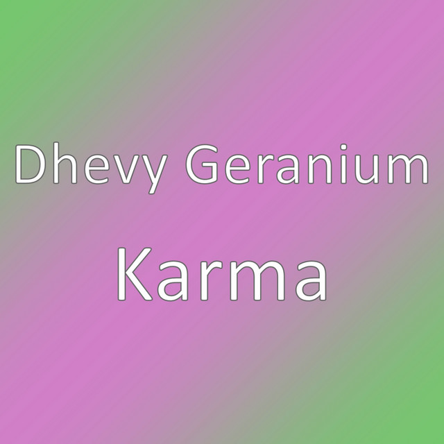 Karma - Single by Dhevy Geranium | Spotify