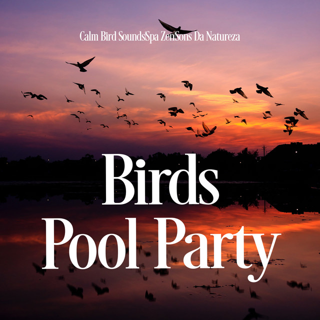 Birds Pool Party - Album by Calm Bird Sounds | Spotify