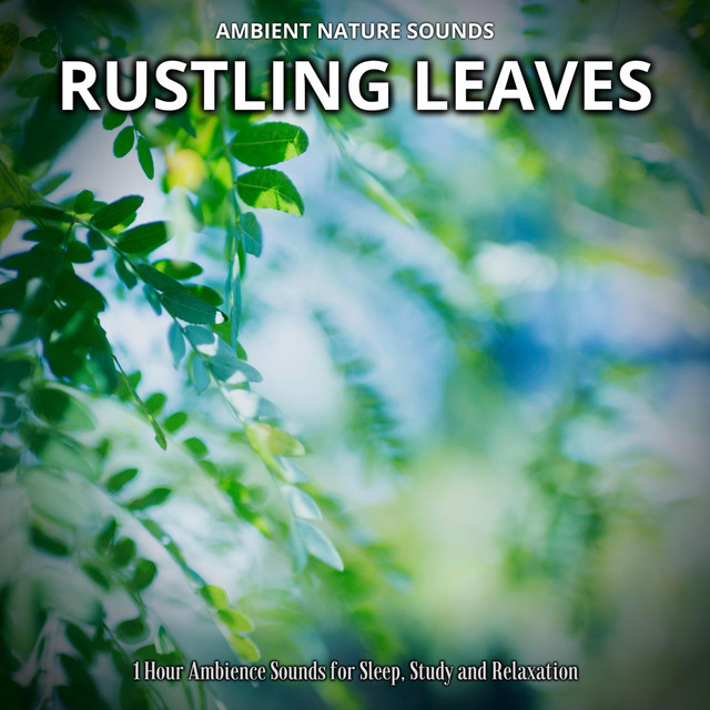 Ambient Nature Sounds: Rustling Leaves (1 Hour Ambience Sounds for ...