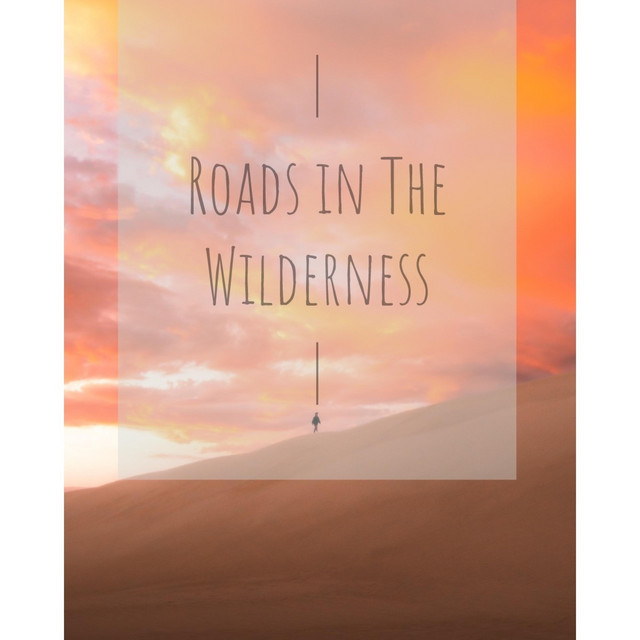 Roads in The Wilderness - Single by Tye Alexander | Spotify