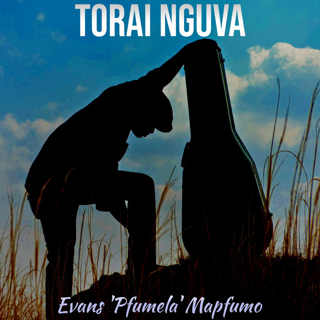 Evans Pfumela Mapfumo | Spotify