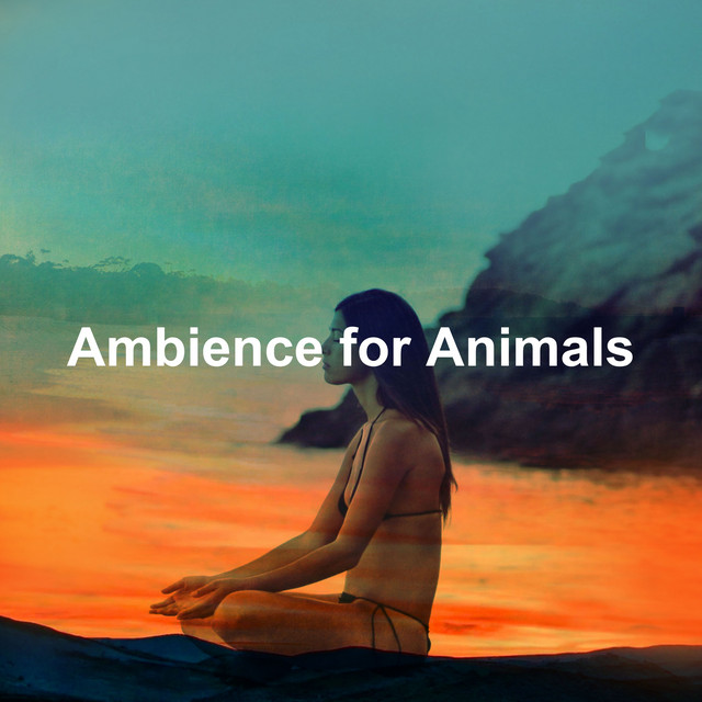 Ambience for Animals - Album by Official Pet Care Collection | Spotify
