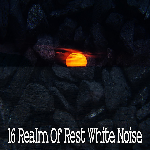 16 Realm Of Rest White Noise - Album by White Noise Babies | Spotify