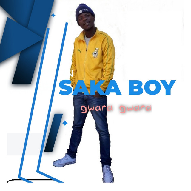 BPM and key for songs by saka boy | Tempo for saka boy songs | SongBPM ...