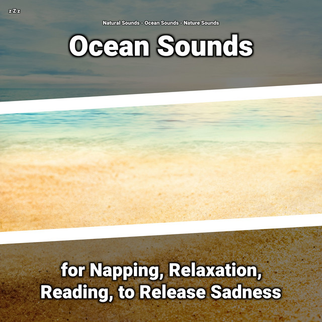 Meditation Room - song by Natural Sounds, Ocean Sounds, Nature Sounds ...