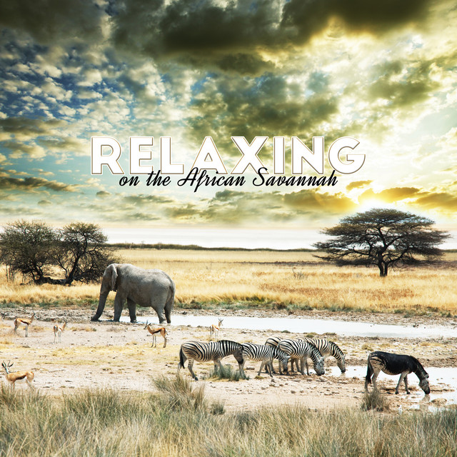 Relaxing on the African Savannah: New Age 2019 African Relax Music ...