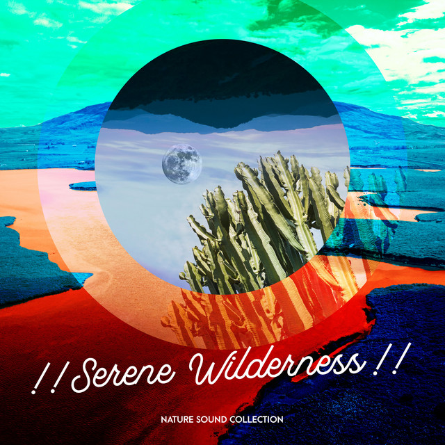 Serene Wilderness ! ! - Album by Nature Sound Collection | Spotify
