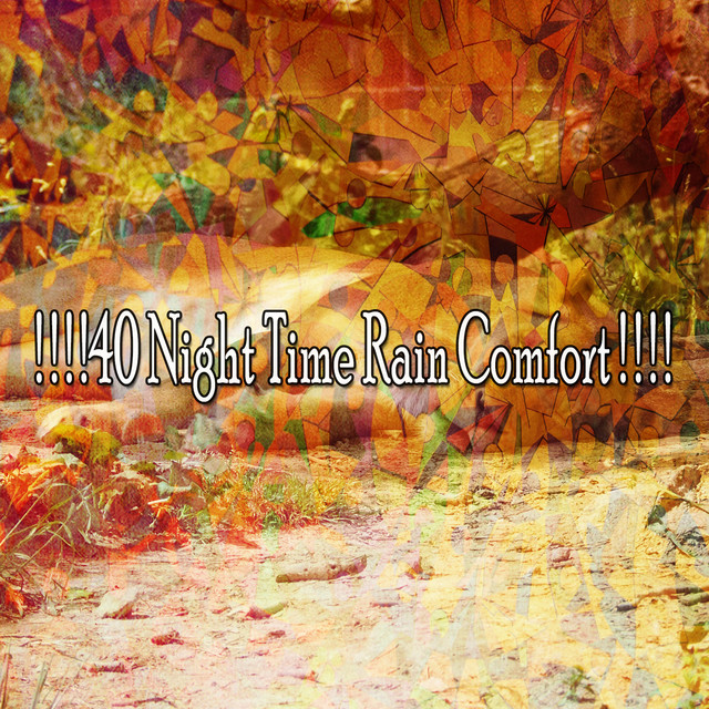 40 Night Time Rain Comfort ! ! ! ! - Album by Lluvia PQ | Spotify