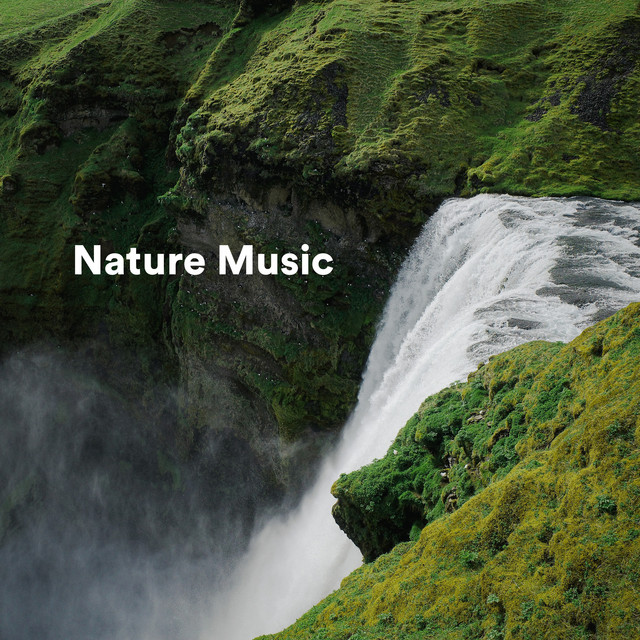 Nature Music - Album by Nature Ambience | Spotify