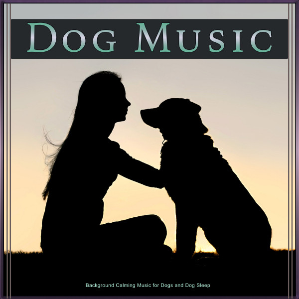 Soothing Guitar Music for Dogs - song and lyrics by Dog Music, Calming ...