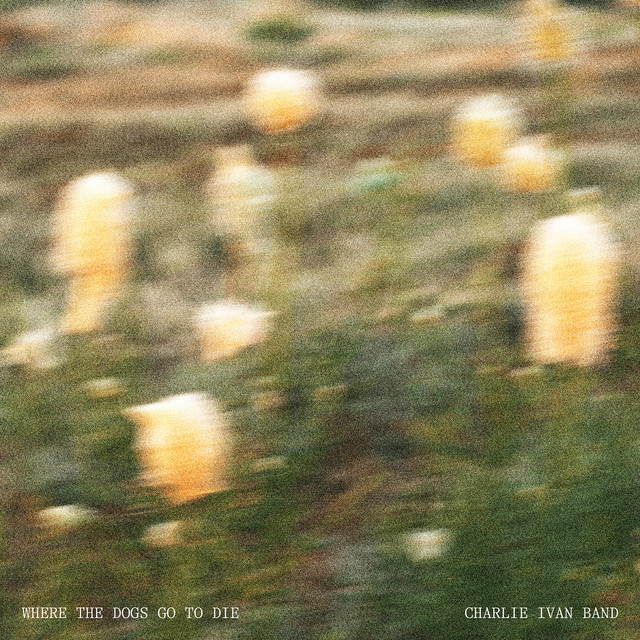 Where the Dogs Go to Die - Album par Charlie Ivan Band | Spotify