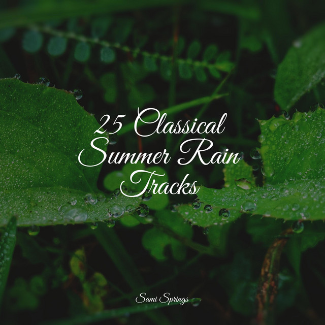 25 Classical Summer Rain Tracks - Album by Preschool Kids | Spotify