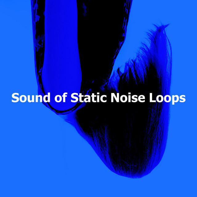 Sound of Static Noise Loops - Album by The Sound of Static | Spotify