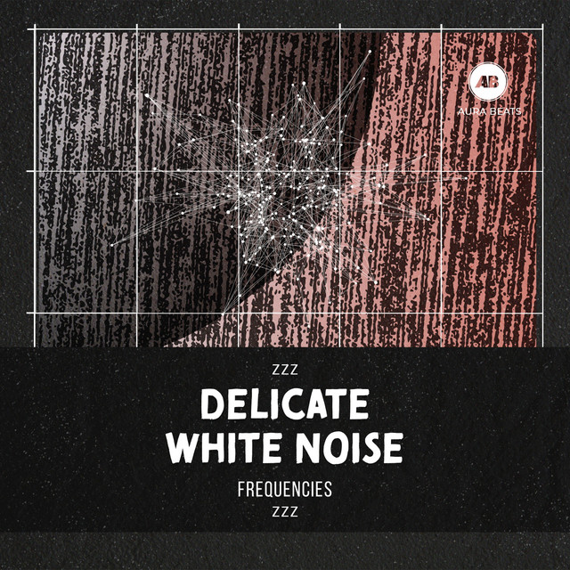 zZz Delicate White Noise Frequencies zZz - Album by Study Music ...