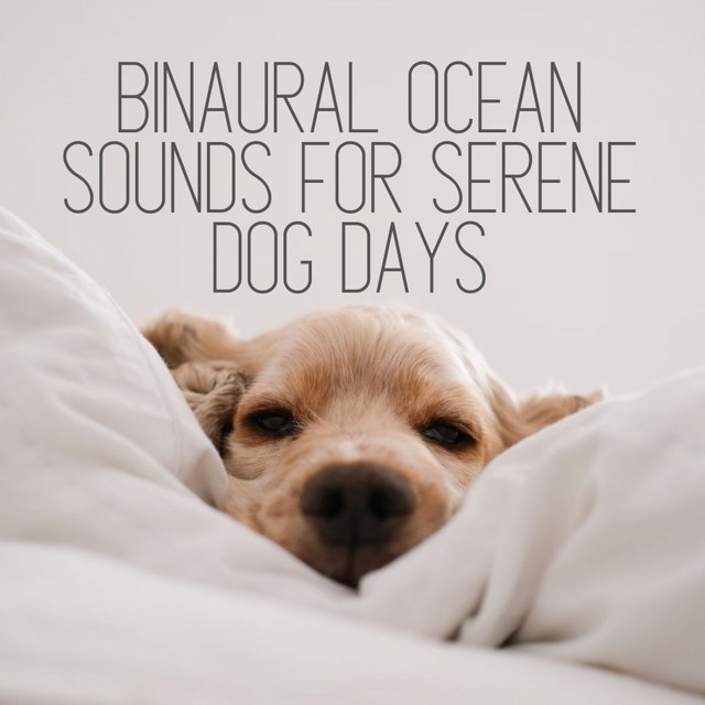 Binaural Ocean Sounds for Serene Dog Days - Album by Binaural Beat ...